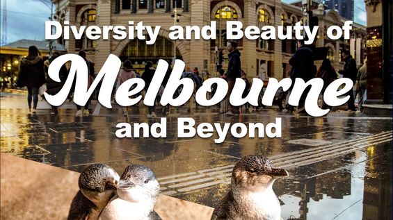 Diversity the Beauty of Melbourne and Beyond | kumparanplus