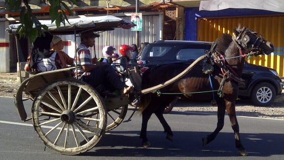 Delman: Berita Delman Terbaru dan Terupdate - kumparan