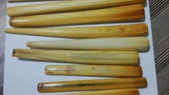 Gading Gajah: Berita Gading Gajah Terbaru dan Terupdate - kumparan