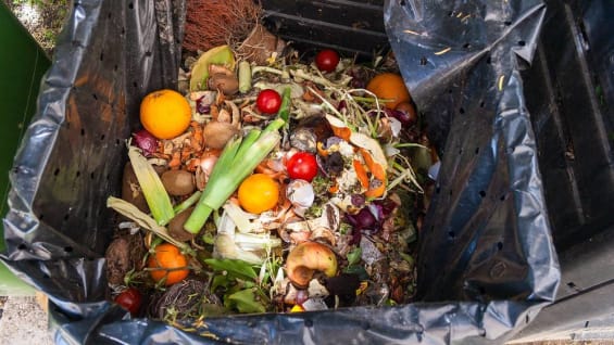 Sampah Makanan: Berita Sampah Makanan Terbaru dan Terupdate - kumparan