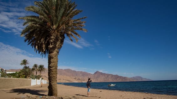 Laut Merah: Berita Laut Merah Terbaru dan Terupdate - kumparan