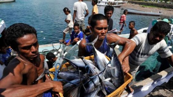 Nelayan: Berita Nelayan Terbaru dan Terupdate - kumparan