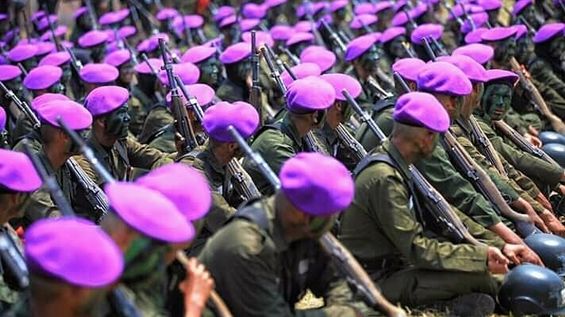 Menwa: Berita Menwa Terbaru dan Terupdate - kumparan