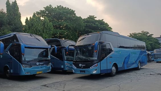 Bus Bekas: Berita Bus Bekas Terbaru dan Terupdate - kumparan