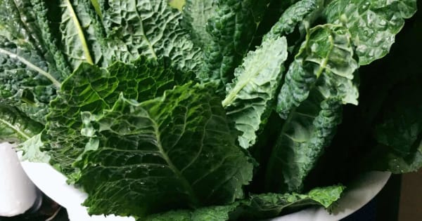 Konten dari Poppy Ariani - kumparan