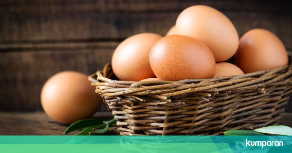 9 Fakta Telur yang Perlu Kamu Ketahui - kumparan.com