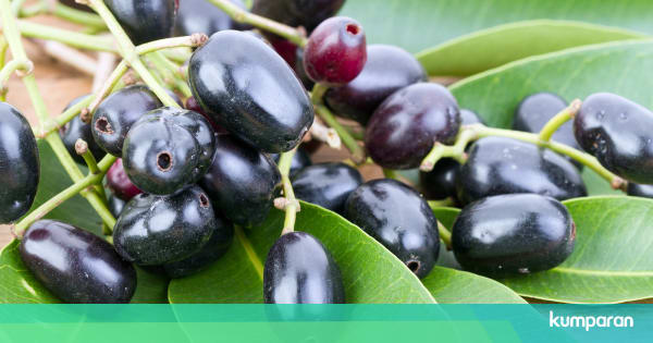 10 Buah Tropis yang Mulai Jarang Ditemukan di Indonesia - kumparan.com