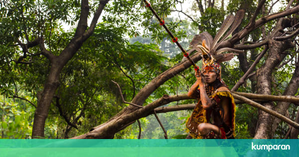 Mengenal Sumpit, Senjata Andalan Suku Dayak - kumparan.com