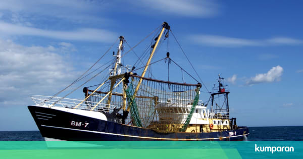 Kapal China Long Xing 629 Diduga Tangkap Ikan yang Dilindungi ...