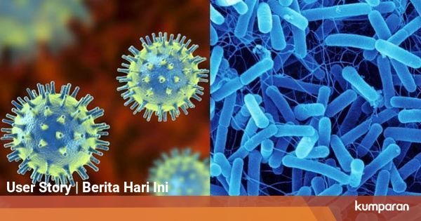 Perbedaan Virus dan Bakteri yang Patut Diketahui - kumparan.com