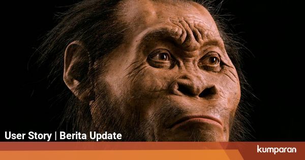 Pithecanthropus Erectus yang Fosilnya Ditemukan oleh Orang Indonesia ...