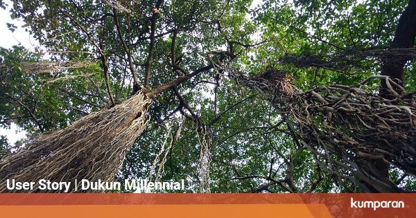 Menguak Ajian Waringin Sungsang Sunan Kalijaga - kumparan.com