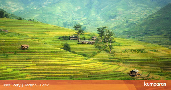 5 Cara Mengolah Tanah untuk Lahan Pertanian - kumparan.com