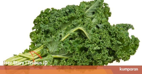 Memiliki Banyak Nutrisi, Tenyata Ini 3 Sayuran Hijau yang Paling Sehat ...