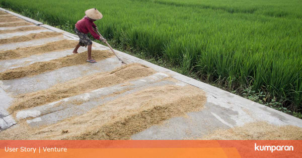 3 Petani Sukses Indonesia yang Menginspirasi Banyak Orang - kumparan.com