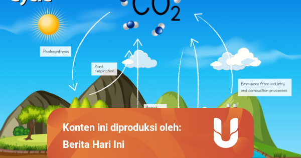 Tahapan Daur Nitrogen yang Terjadi di Dalam Tanah - kumparan.com