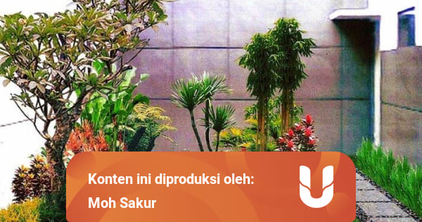 Tips Membuat Desain Taman Minimalis yang Bisa Kamu Coba - kumparan.com