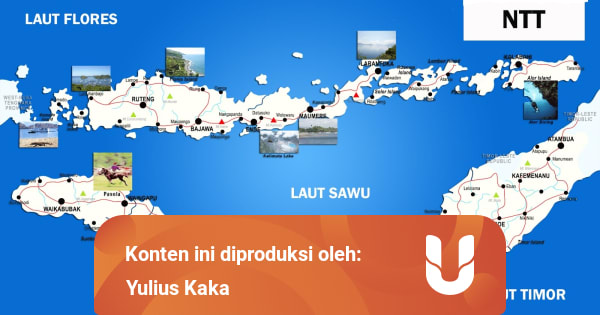 NTT dan Sejuta Keindahannya - kumparan.com