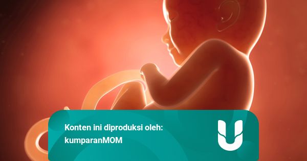 Perkembangan Janin Usia 30 Minggu yang Perlu Ibu Hamil Tahu - kumparan.com