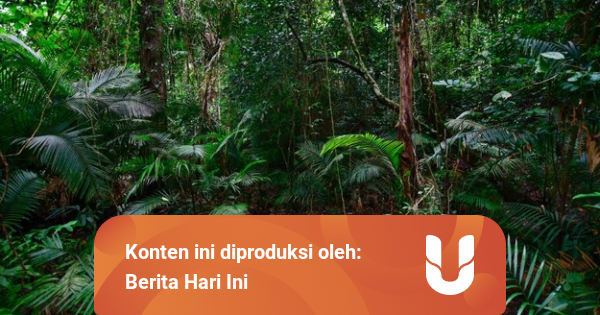 Suksesi Ekologi: Pengertian, Jenis, dan Contohnya - kumparan.com