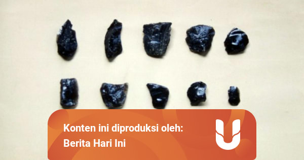 Mengenal Alat Serpih yang Membantu Manusia Purba Bertahan Hidup ...