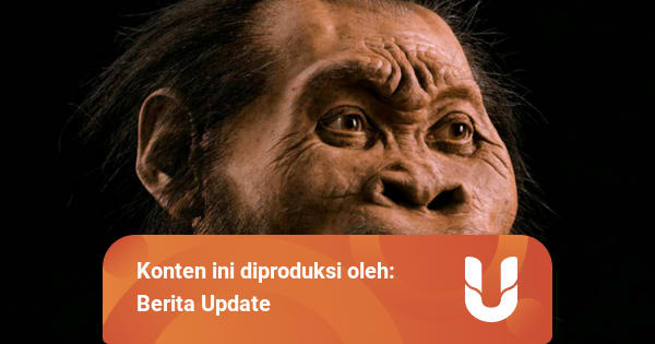 Pithecanthropus Erectus yang Fosilnya Ditemukan oleh Orang Indonesia ...