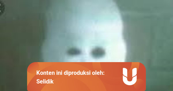 7 Hal tentang Tuyul yang Perlu Diketahui - kumparan.com