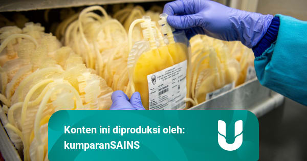 Alasan Gammaraas Dipakai untuk Pasien Corona, Harga Rp 63 Juta per 13 ...