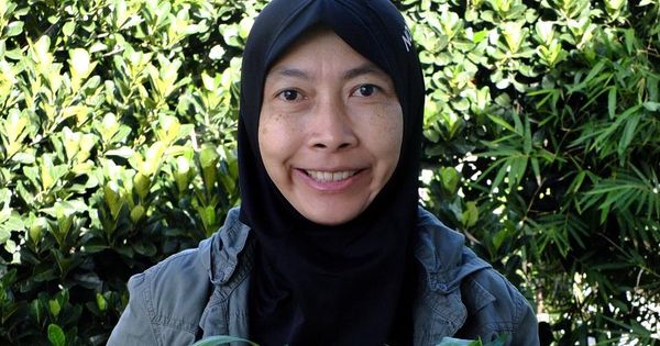 Konten dari Dewi Wulan Sari - kumparan